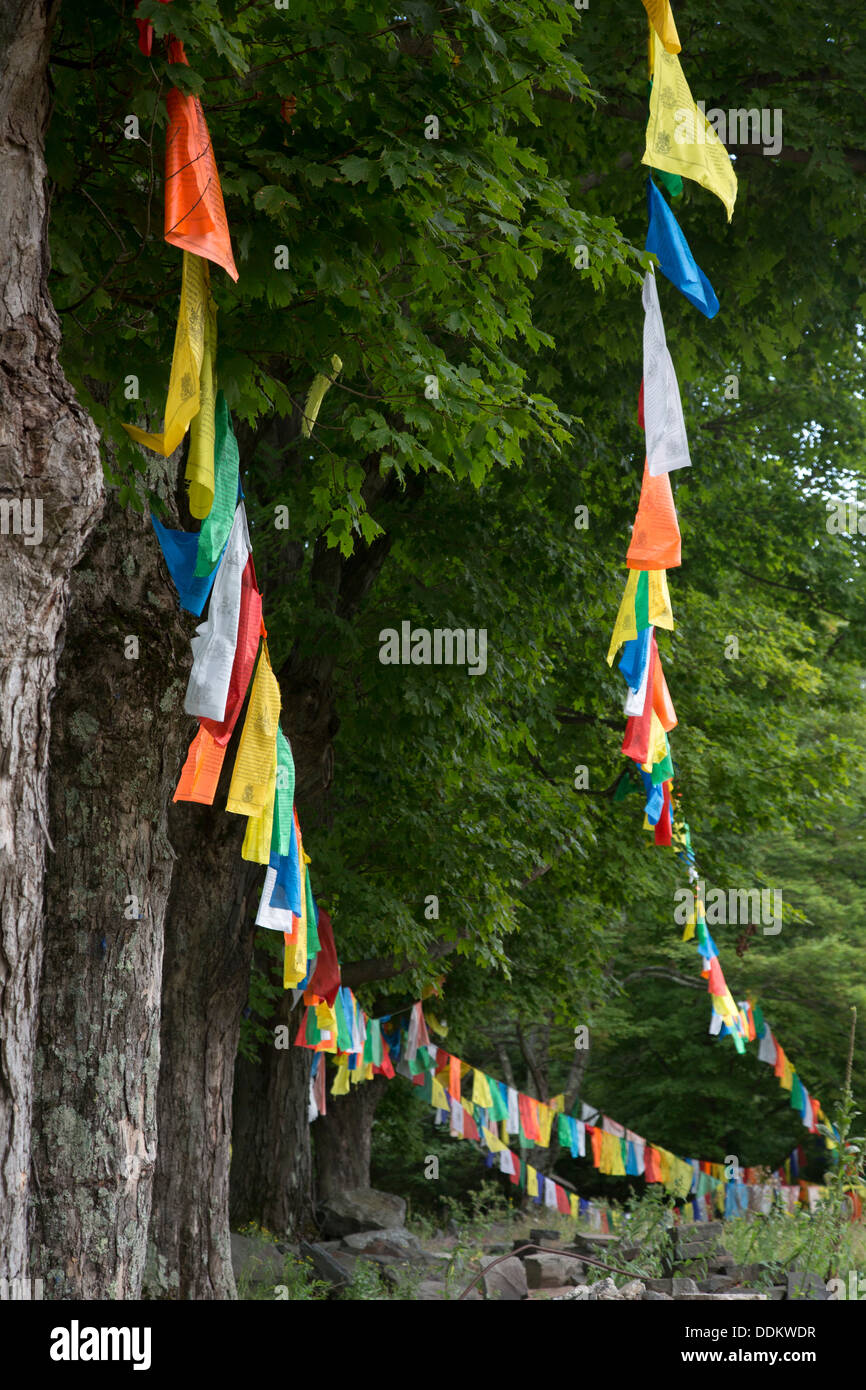 Prayer flags outside the Karma Triyana Dharmachakra, a Tibetan Buddhist ...