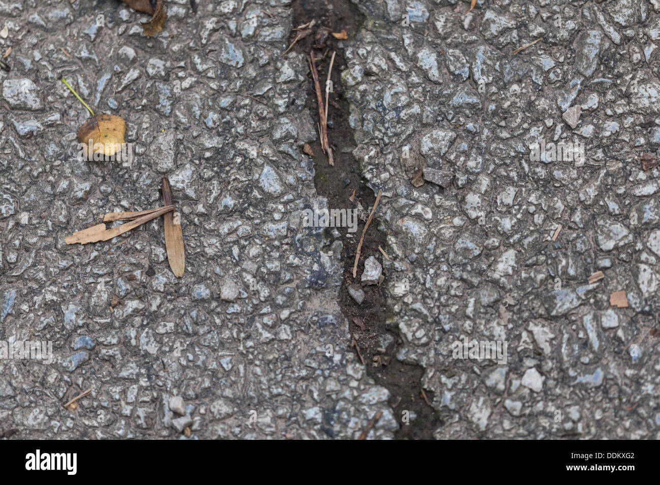 Crack surface asphalt road texture hi-res stock photography and images ...