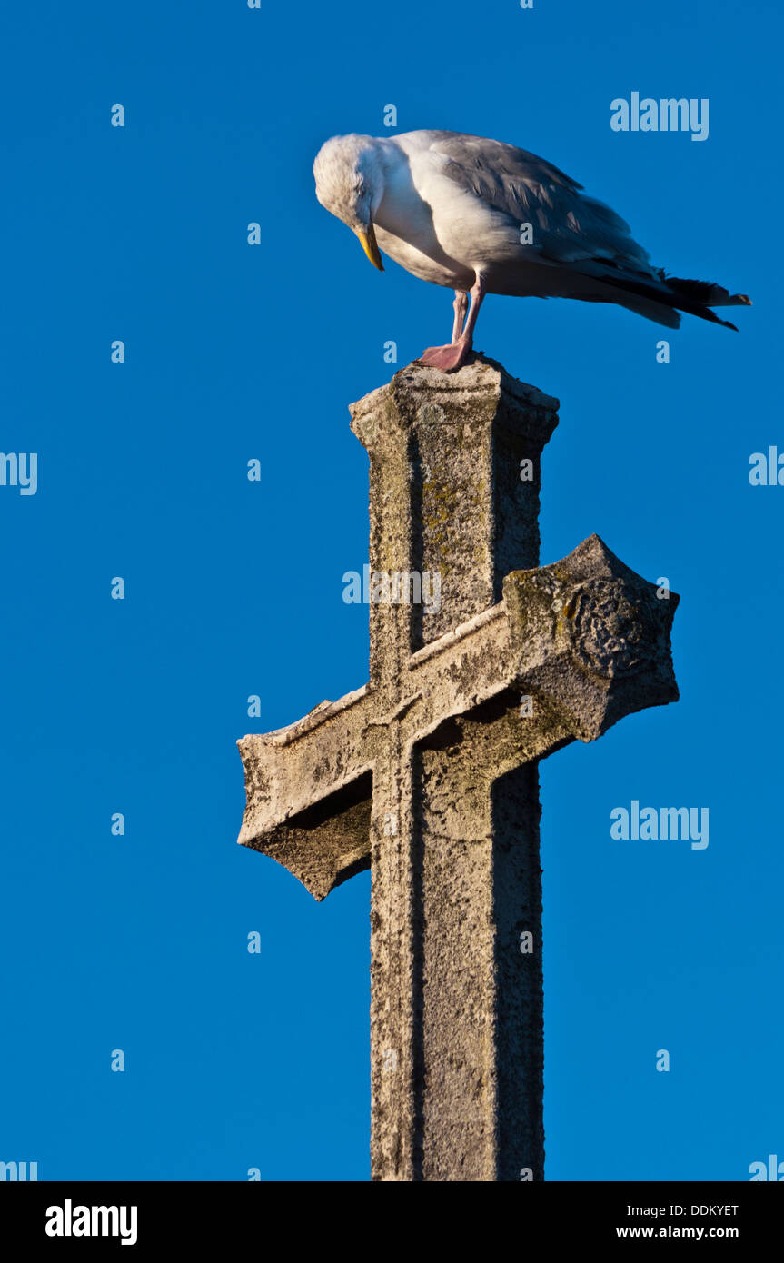 Cross on sea hi-res stock photography and images - Alamy