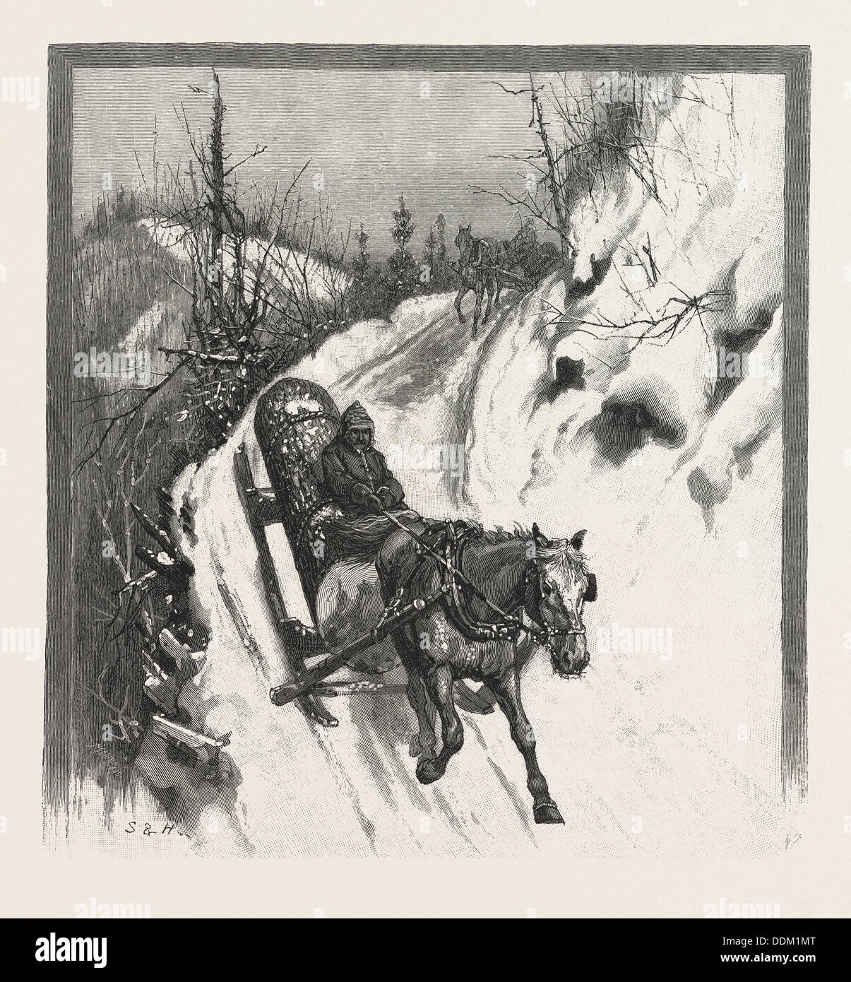 Lumbering hi-res stock photography and images - Alamy