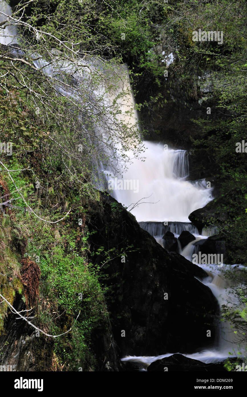 Pecca glen hi-res stock photography and images - Alamy