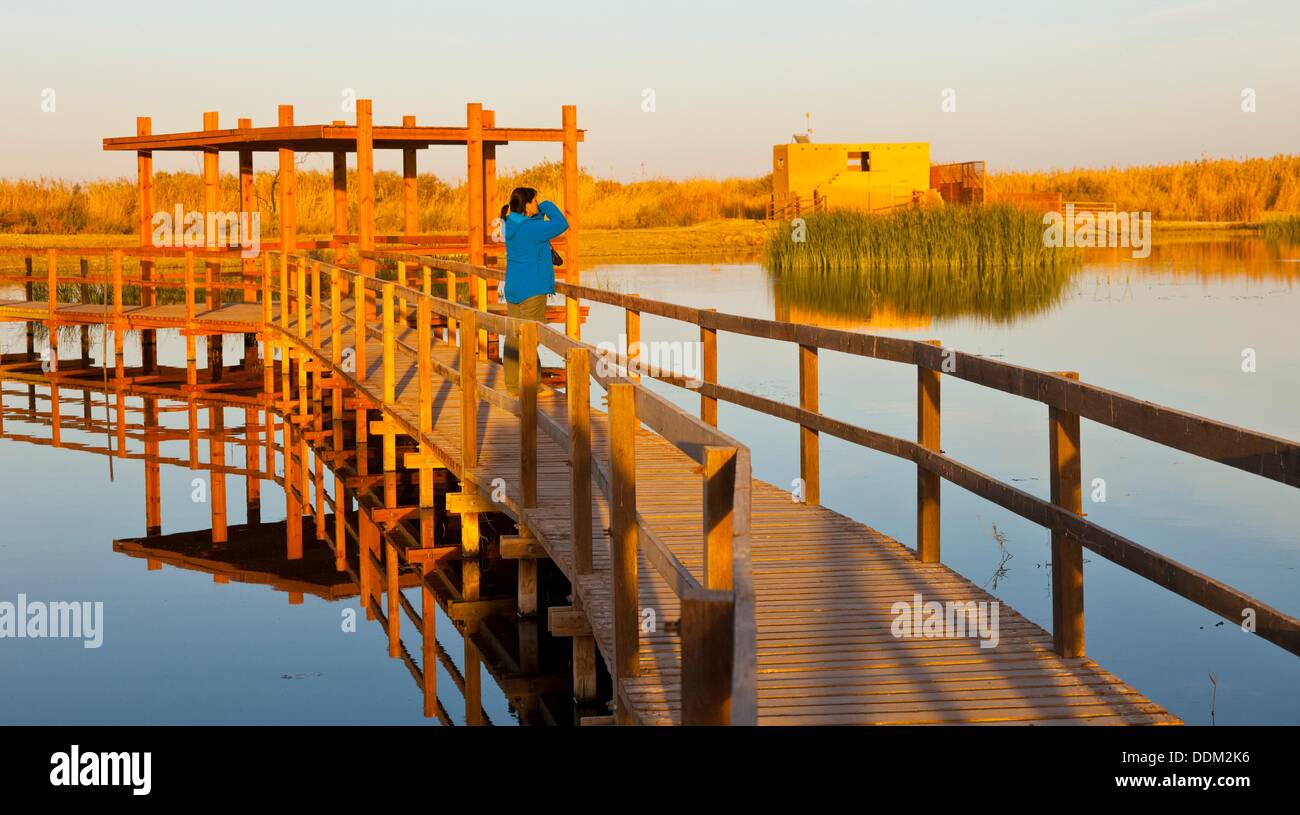 Azraq Wetlands Reserve High Resolution Stock Photography and Images - Alamy