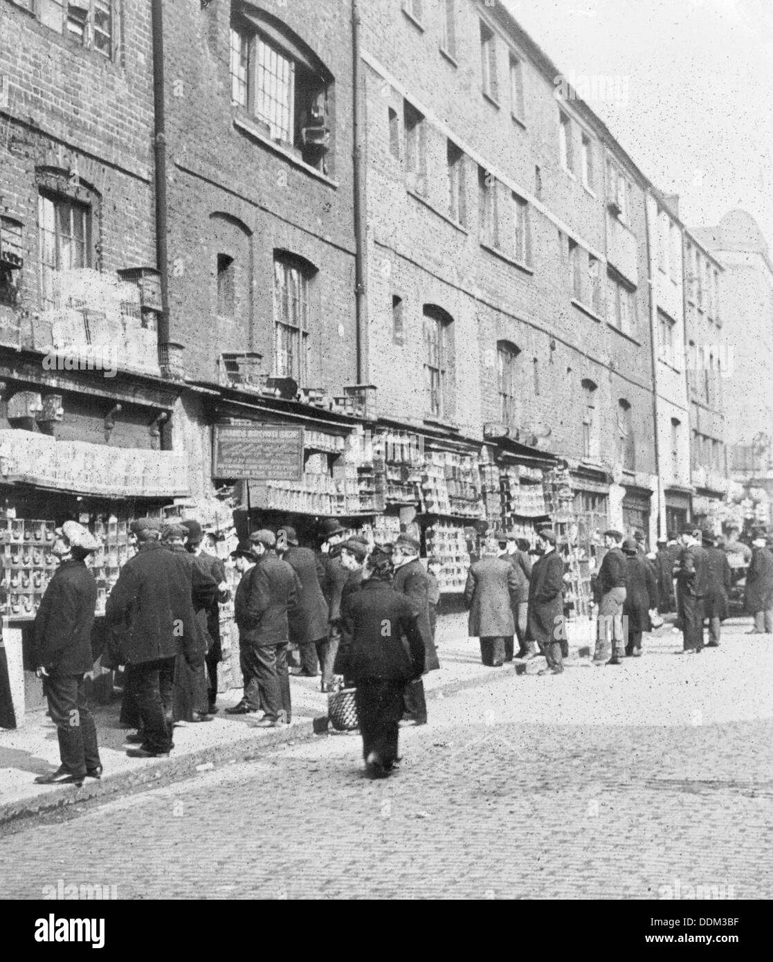 1900s man hi-res stock photography and images - Alamy