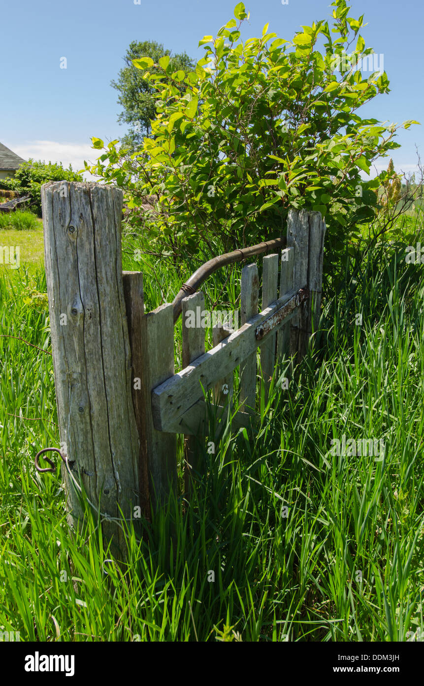Overgrown farm hi-res stock photography and images - Alamy
