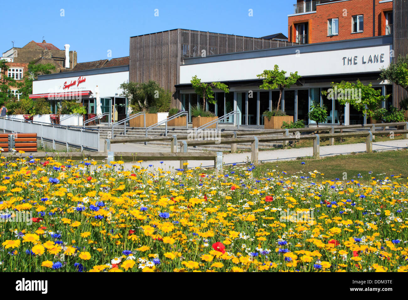 Riverside flowers hi-res stock photography and images - Alamy
