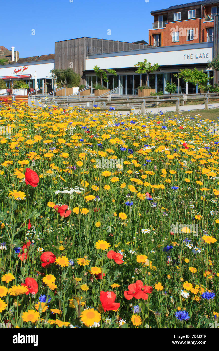 Riverside flowers hi-res stock photography and images - Alamy