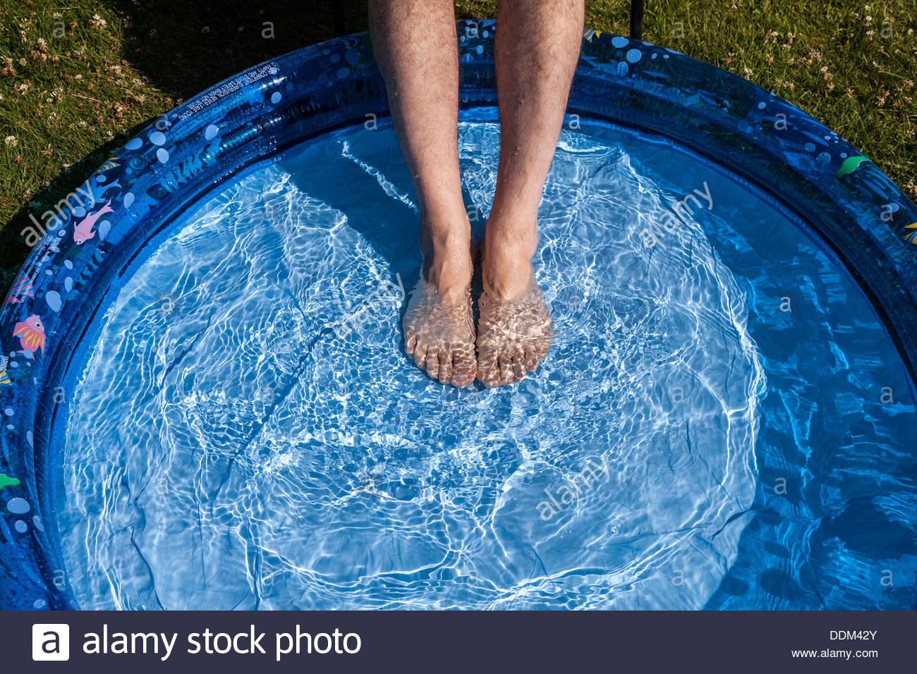 Person with their feet in paddling pool Stock Photo: 60063891 - Alamy