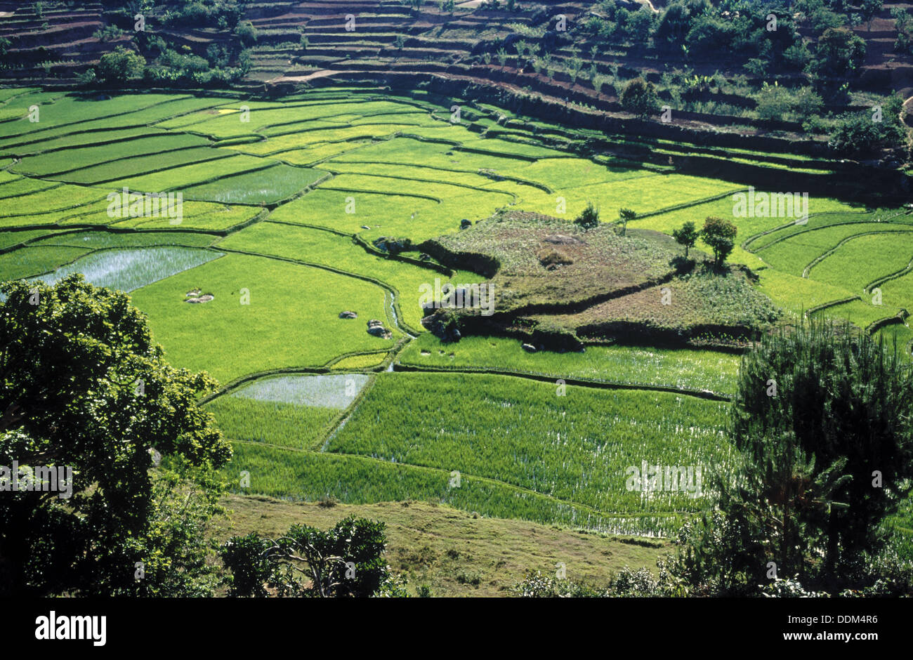 Madagascar economy hi-res stock photography and images - Alamy