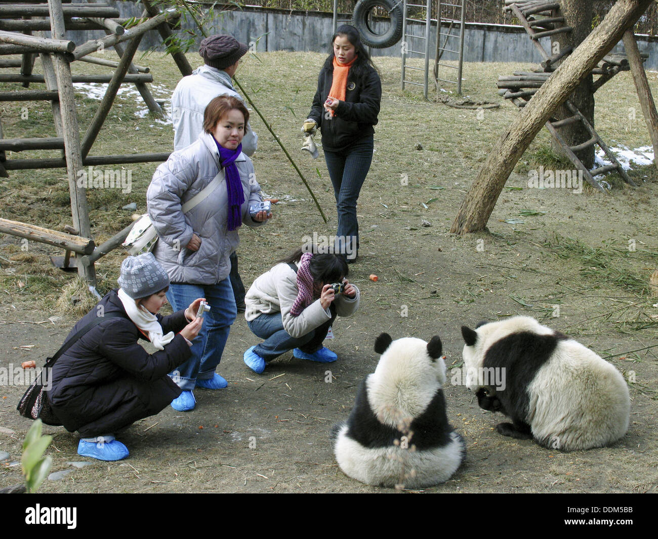 Wolong valley hi-res stock photography and images - Alamy