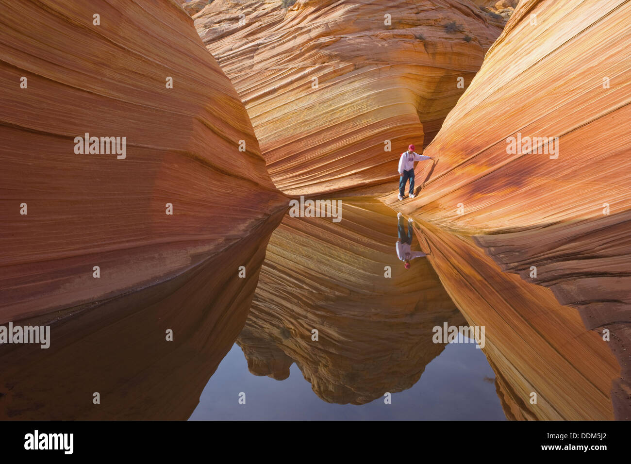 The Wave, Grand Staircase-Escalante National Monument. Utah, USA Stock ...
