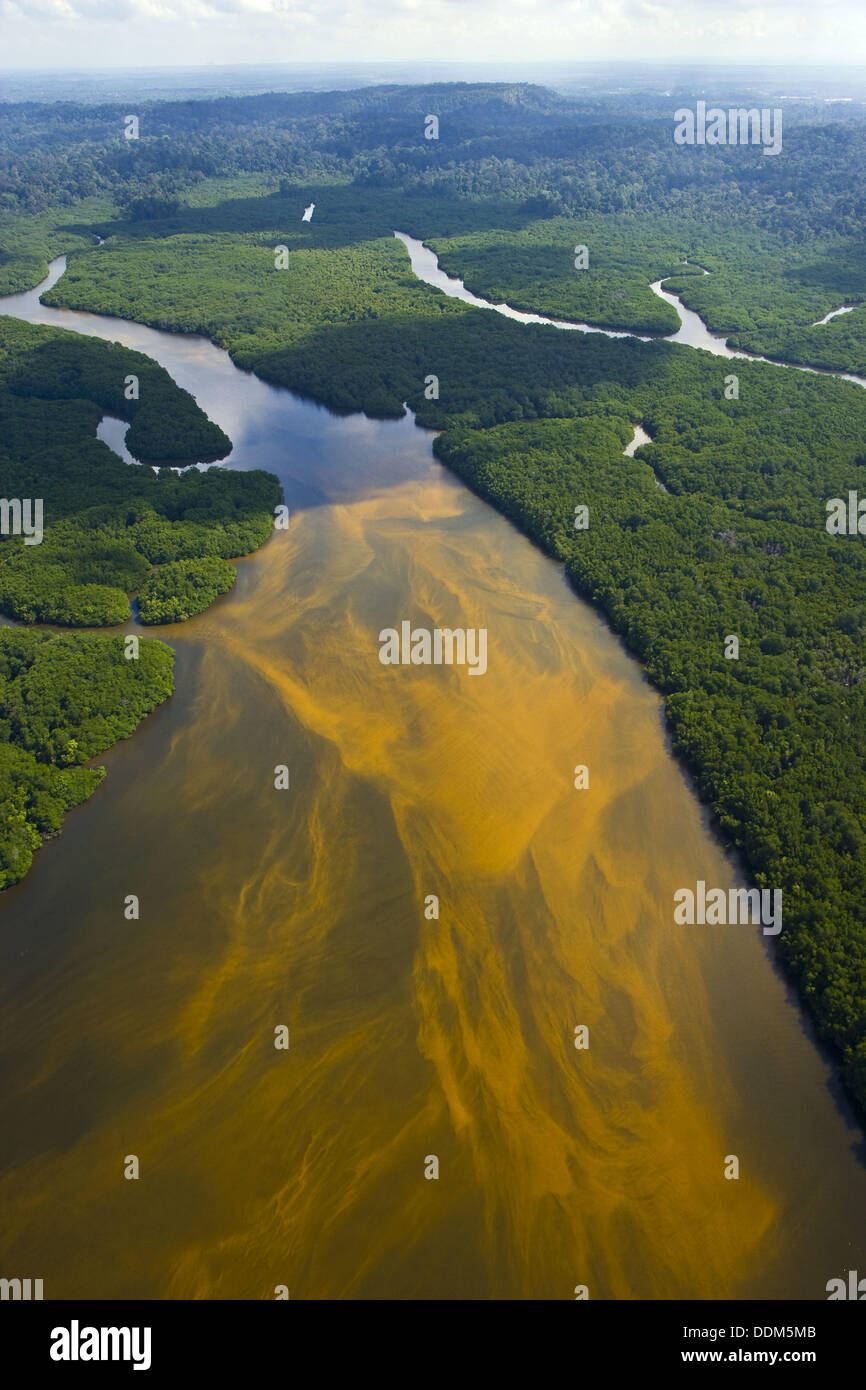 Kinabatangan river aerial hi-res stock photography and images - Alamy