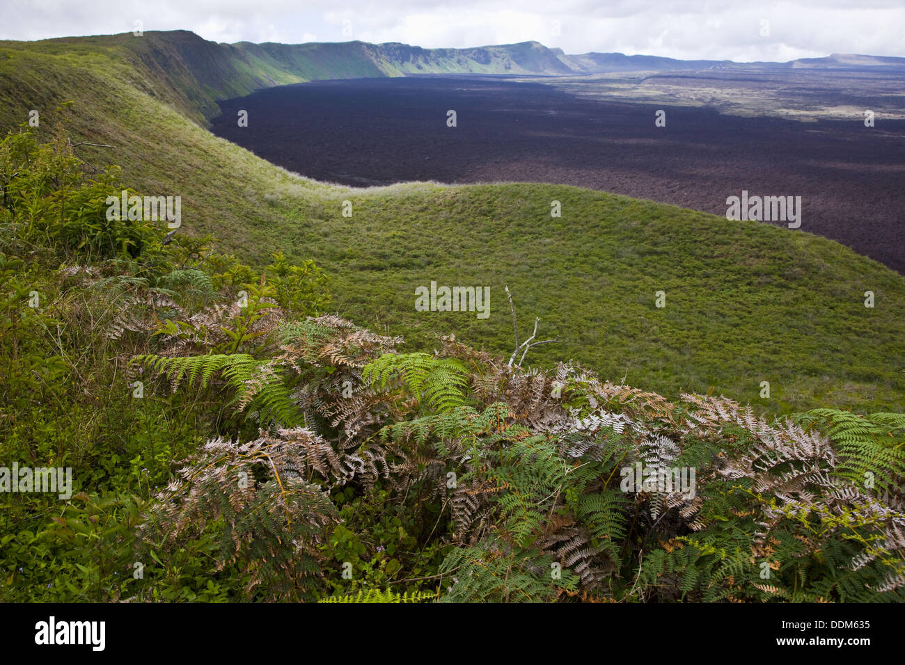 Volcan Chico Stock Photos & Volcan Chico Stock Images - Alamy