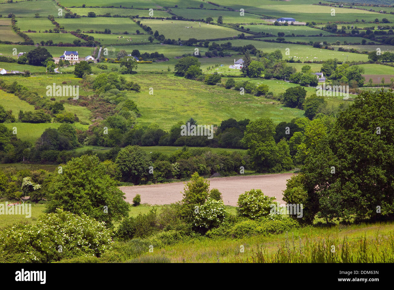 County kilkenny hi-res stock photography and images - Alamy
