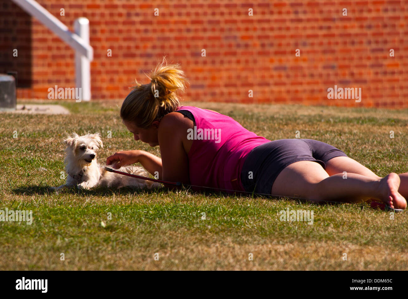 Young woman small dog hi-res stock photography and images - Alamy