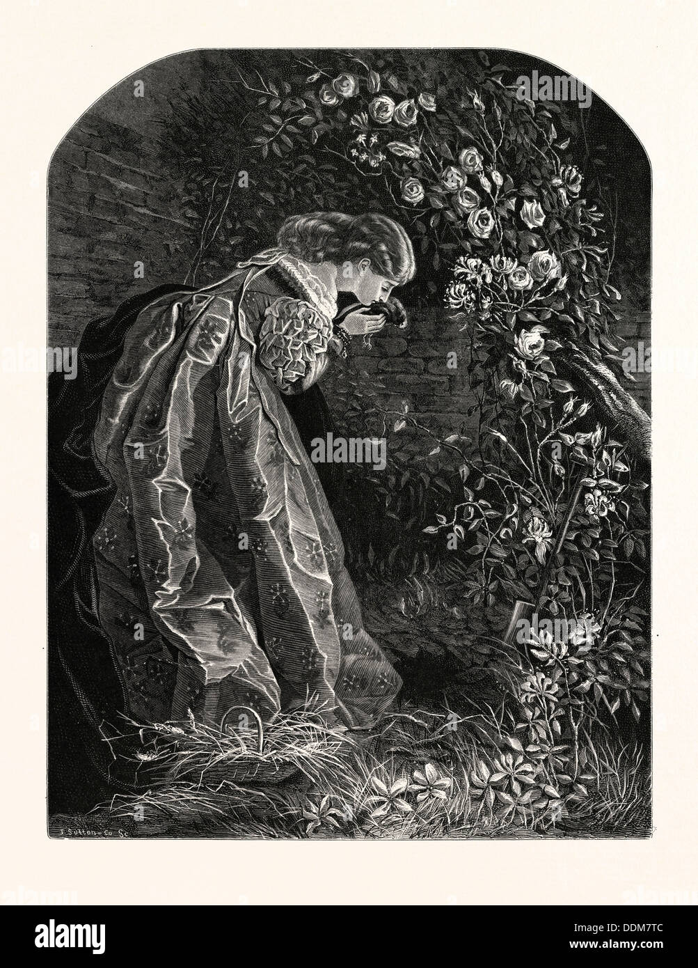 Miss edwards hi-res stock photography and images - Alamy