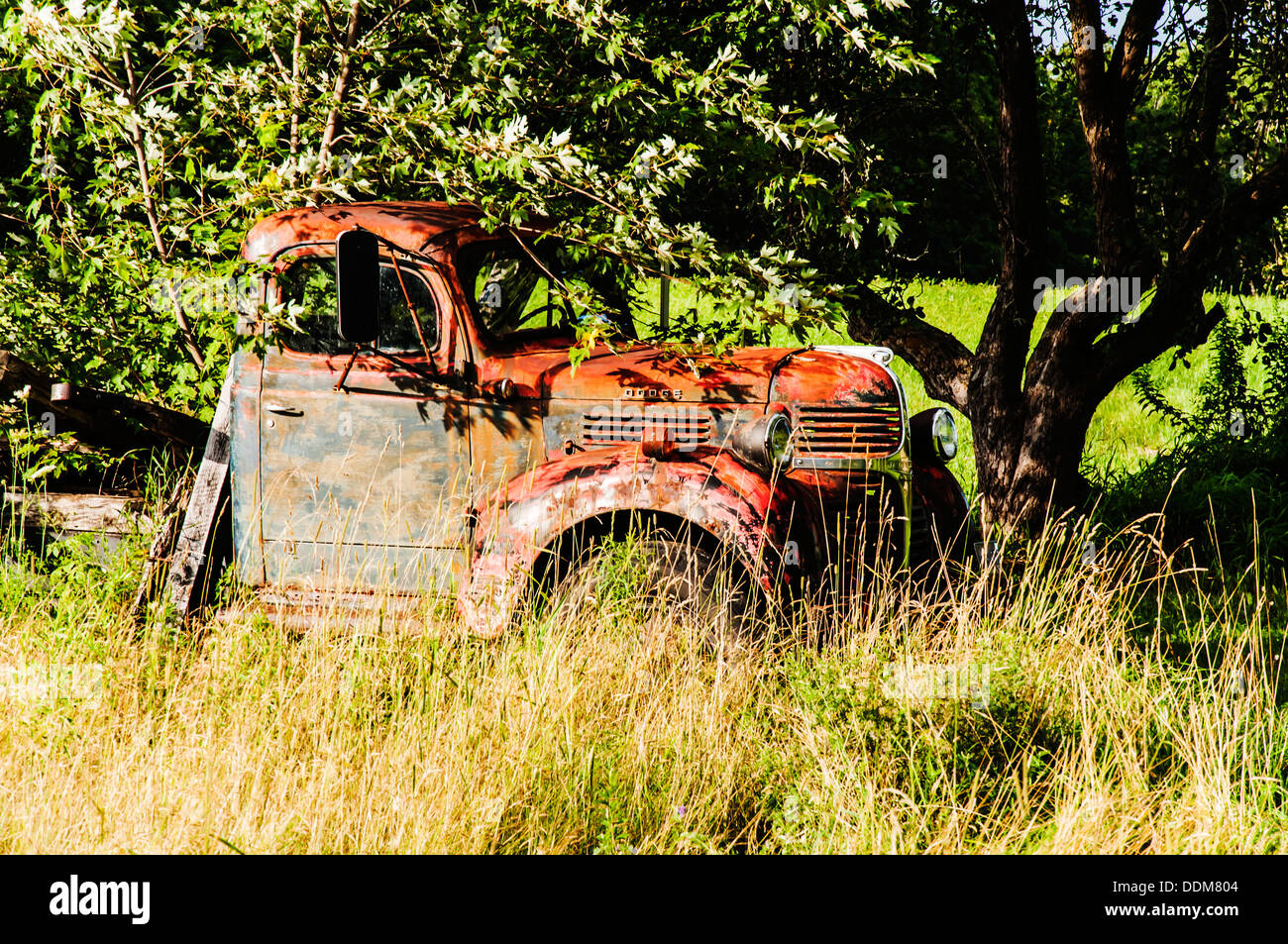 Usa car hi-res stock photography and images - Alamy