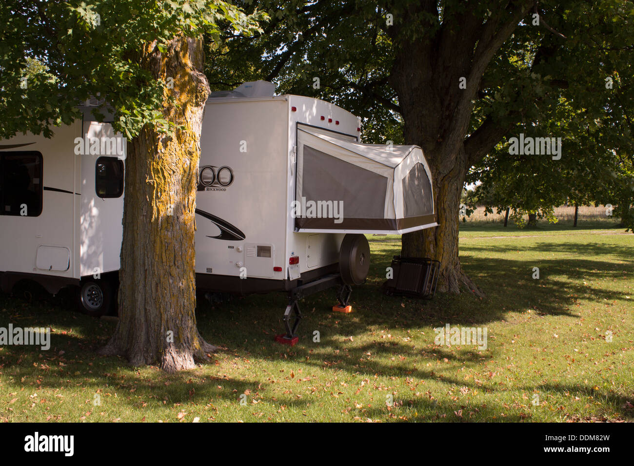 Camper tent trailer parked between two maple trees Stock Photo - Alamy