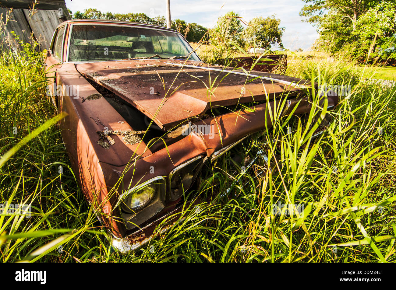 Old car rust hi-res stock photography and images - Alamy