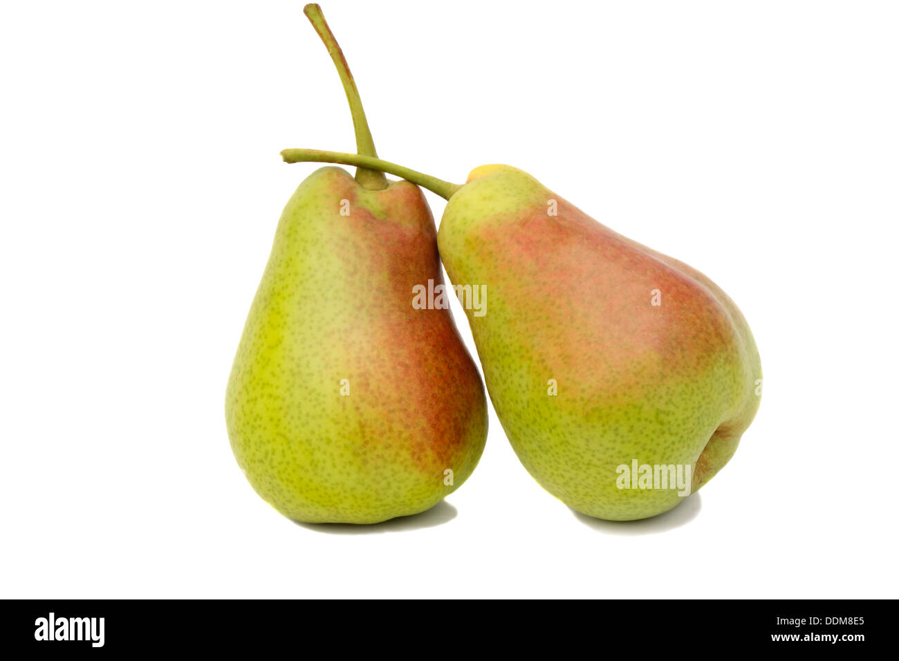 Two ripe large yellow pears. Presented on a white background Stock ...