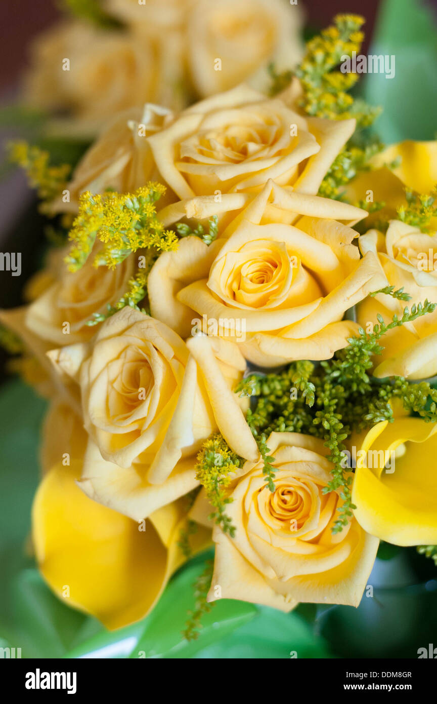 Yellow cala lilies hi-res stock photography and images - Alamy