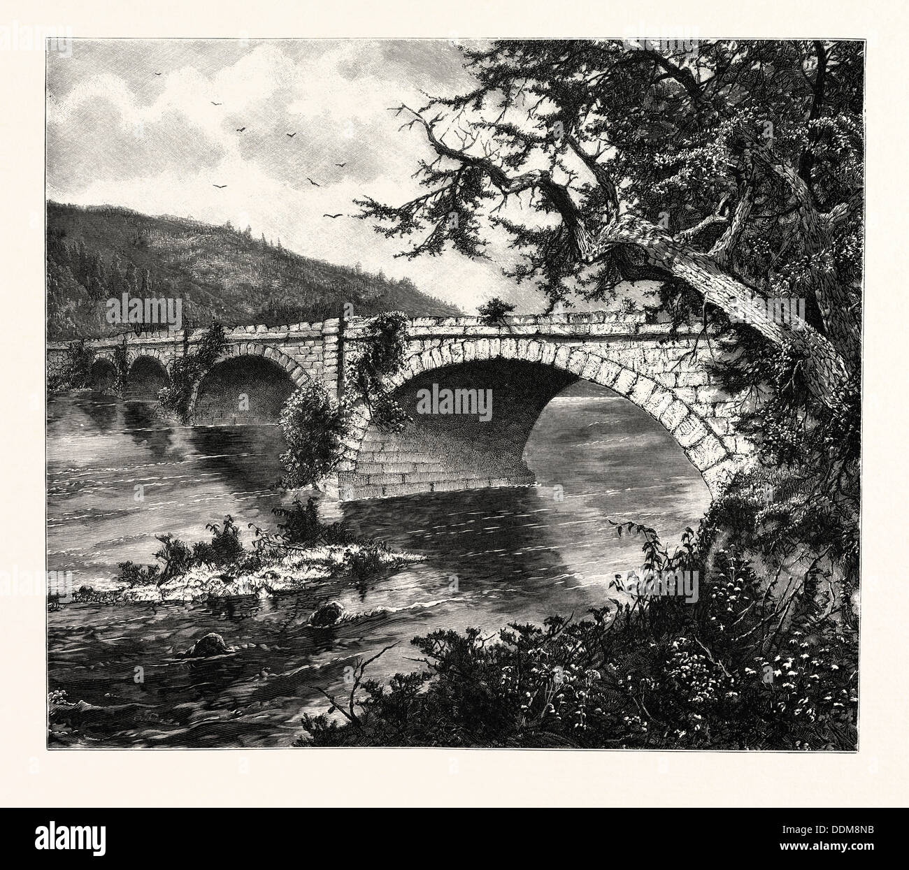 Little Conemaugh River High Resolution Stock Photography and Images - Alamy