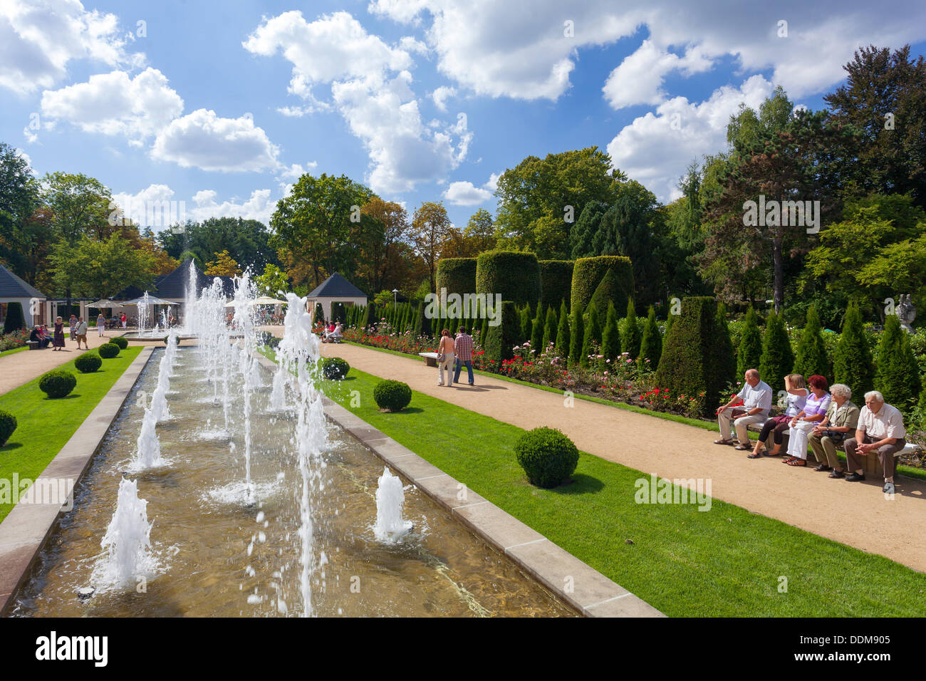 Germany/Brandenburg/Forst (Lausitz), Rose garden in Forst (Lausitz) in ...