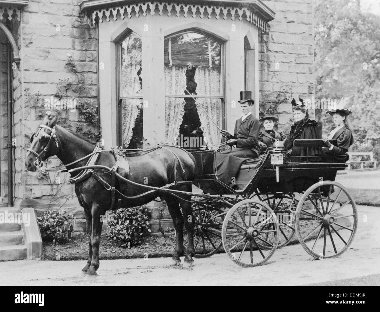 Women and a coachman in a pony and trap, late 19th century. Artist ...
