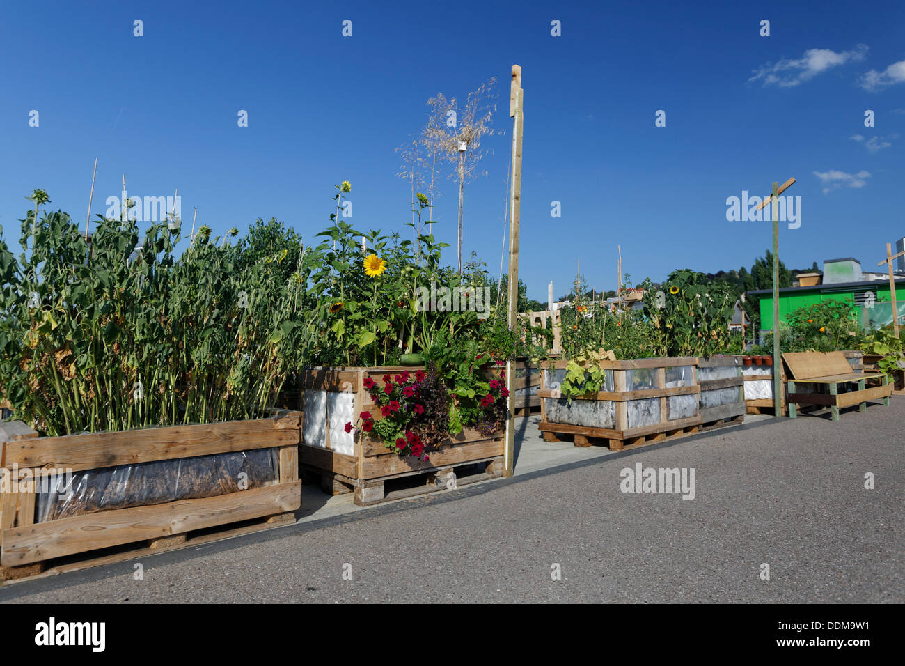 urban gardening on the highest parking level of a car parc in the ...