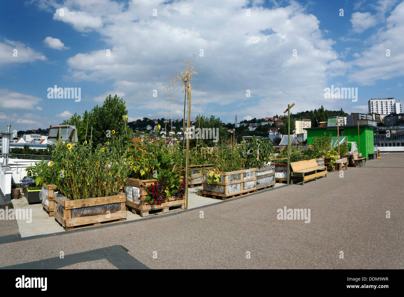 urban gardening on the highest parking level of a car parc in the ...