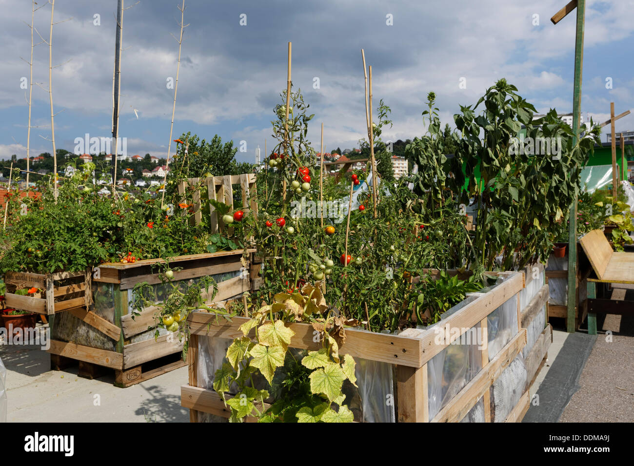 urban gardening on the highest parking level of a car parc in the ...