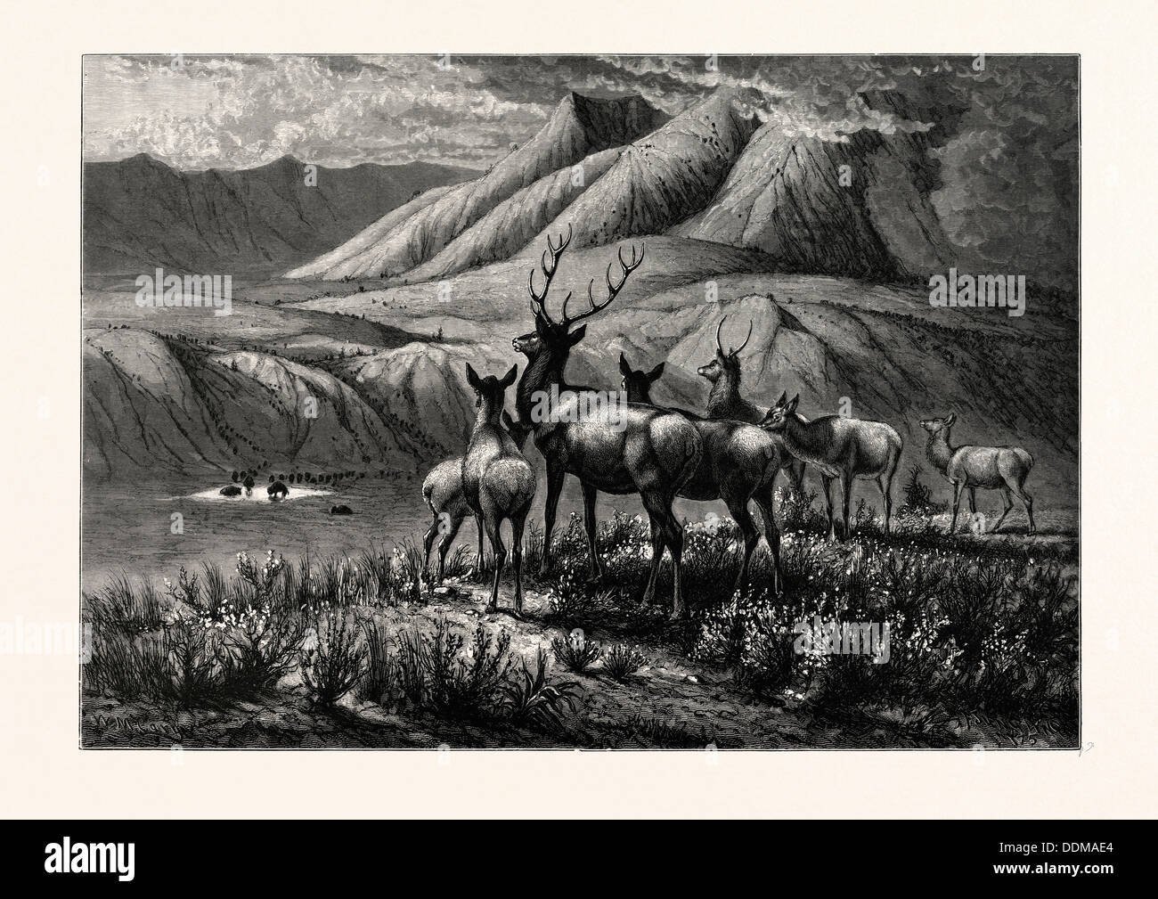 Which was the first m hi-res stock photography and images - Alamy