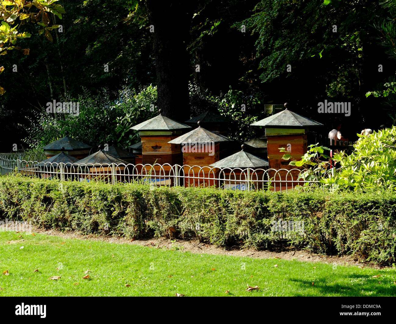 The apiary school,Luxembourg garden,Paris,France Stock Photo - Alamy