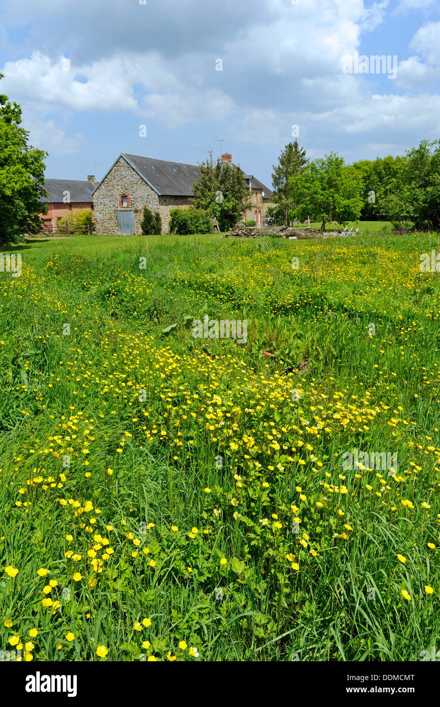 Typical stone built barn in Normandy, France with wild flowers in the ...
