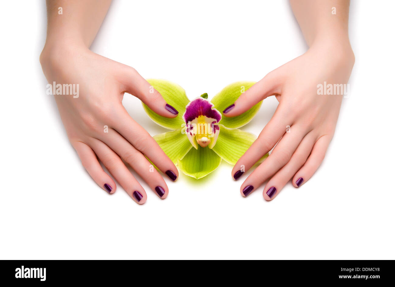 Hand spa flowers hi-res stock photography and images - Alamy