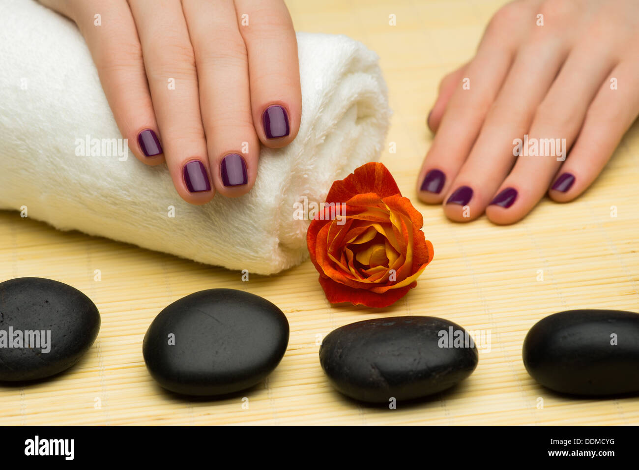 Hand spa flowers hi-res stock photography and images - Alamy