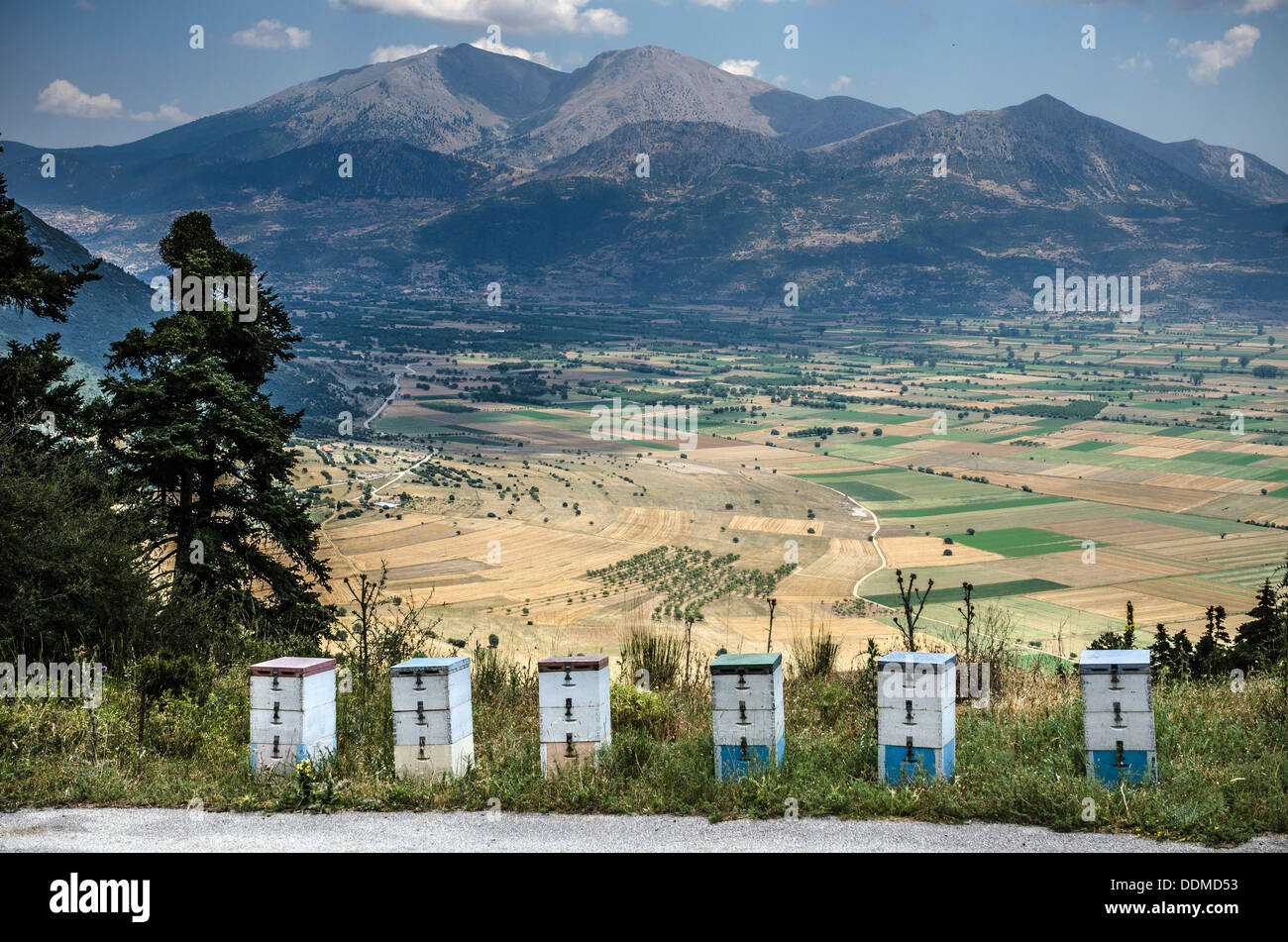 Beehives on the slopes above the Pheneos valley with Mount Kyllini ...