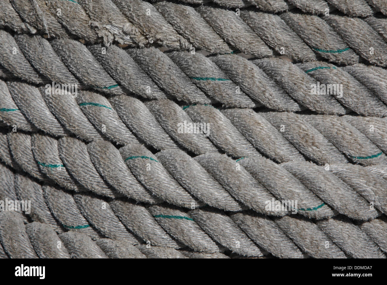 Fibrous strands hi-res stock photography and images - Alamy
