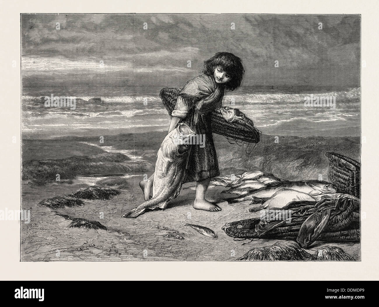 THE PRIZE, FROM THE DRAWING BY J.D. WATSON Stock Photo - Alamy