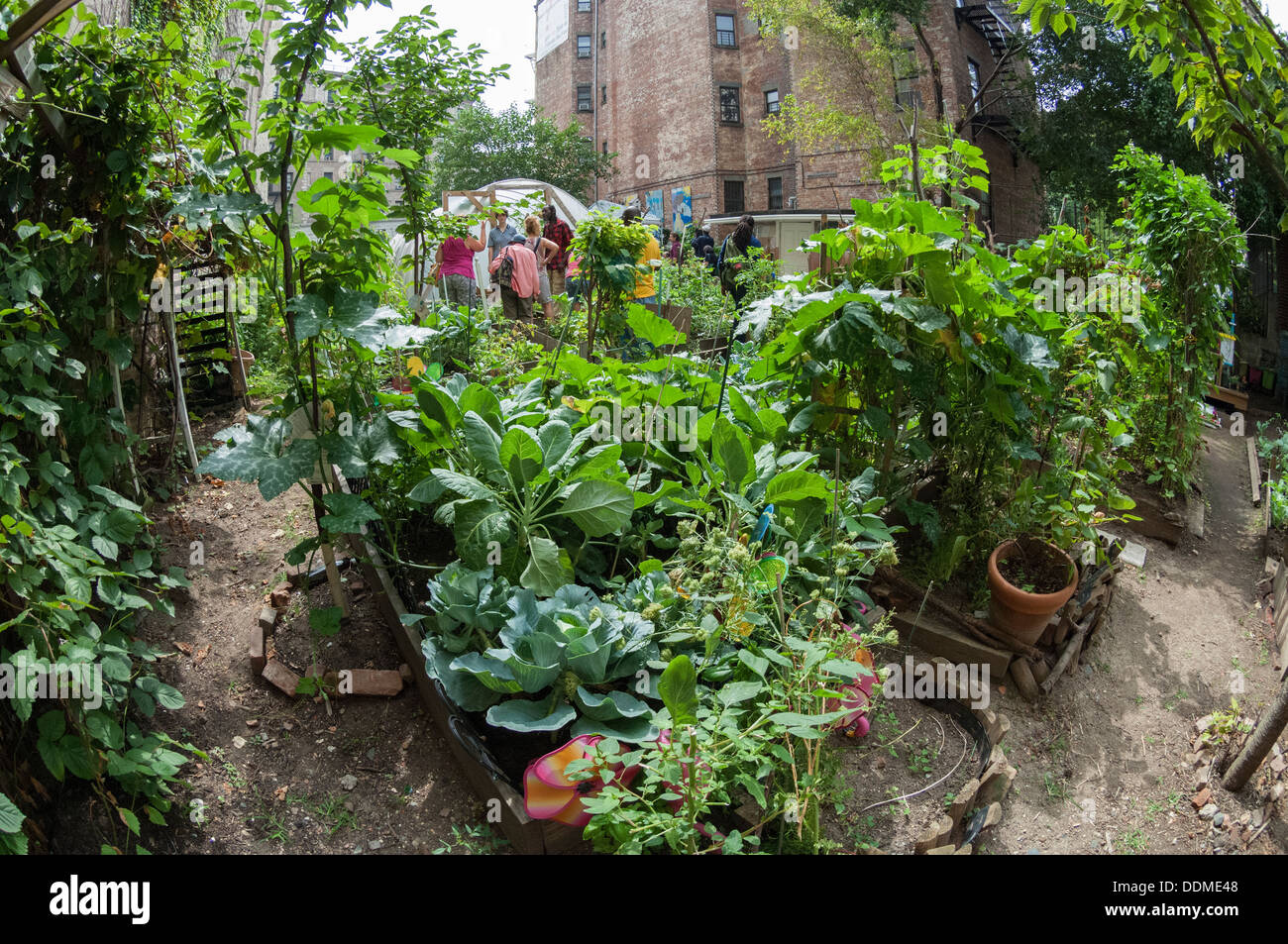 Harlem, community gardens hi-res stock photography and images - Alamy