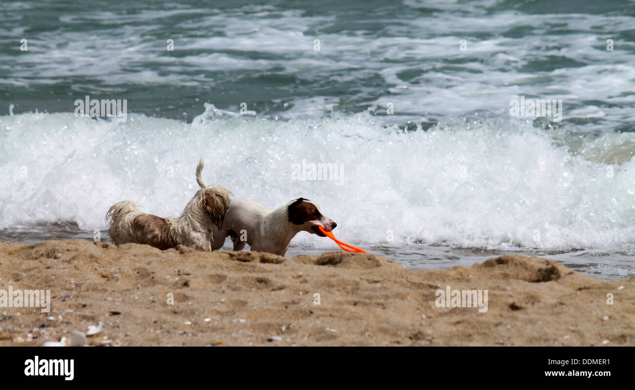 Pull the rope game hi-res stock photography and images - Alamy