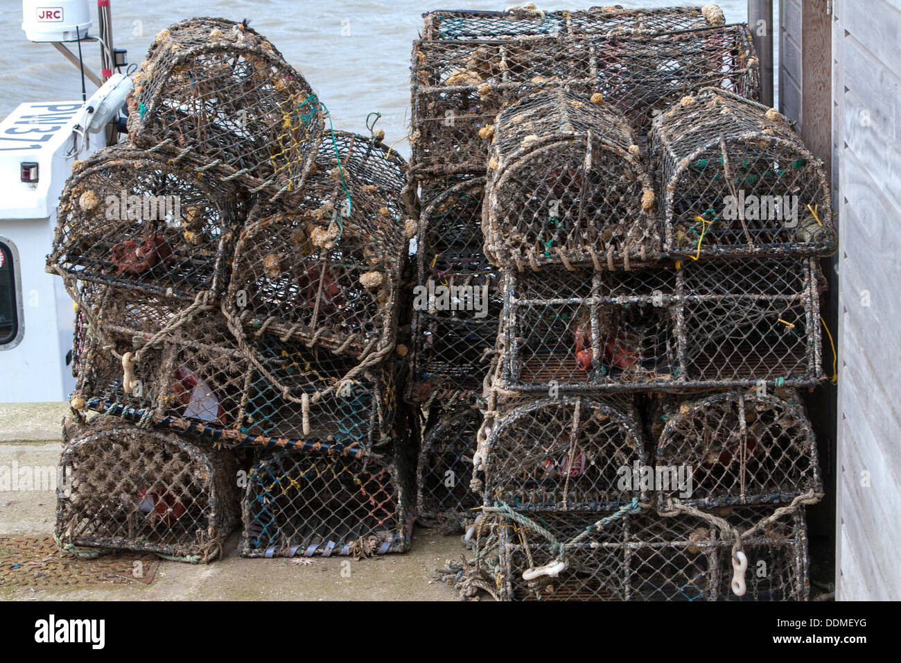 Lobsters fishing crab crabs hi-res stock photography and images - Alamy