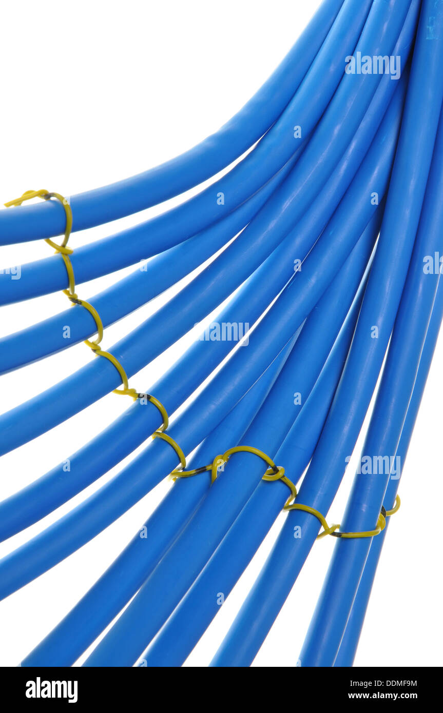 Cable computer networks on white background Stock Photo - Alamy