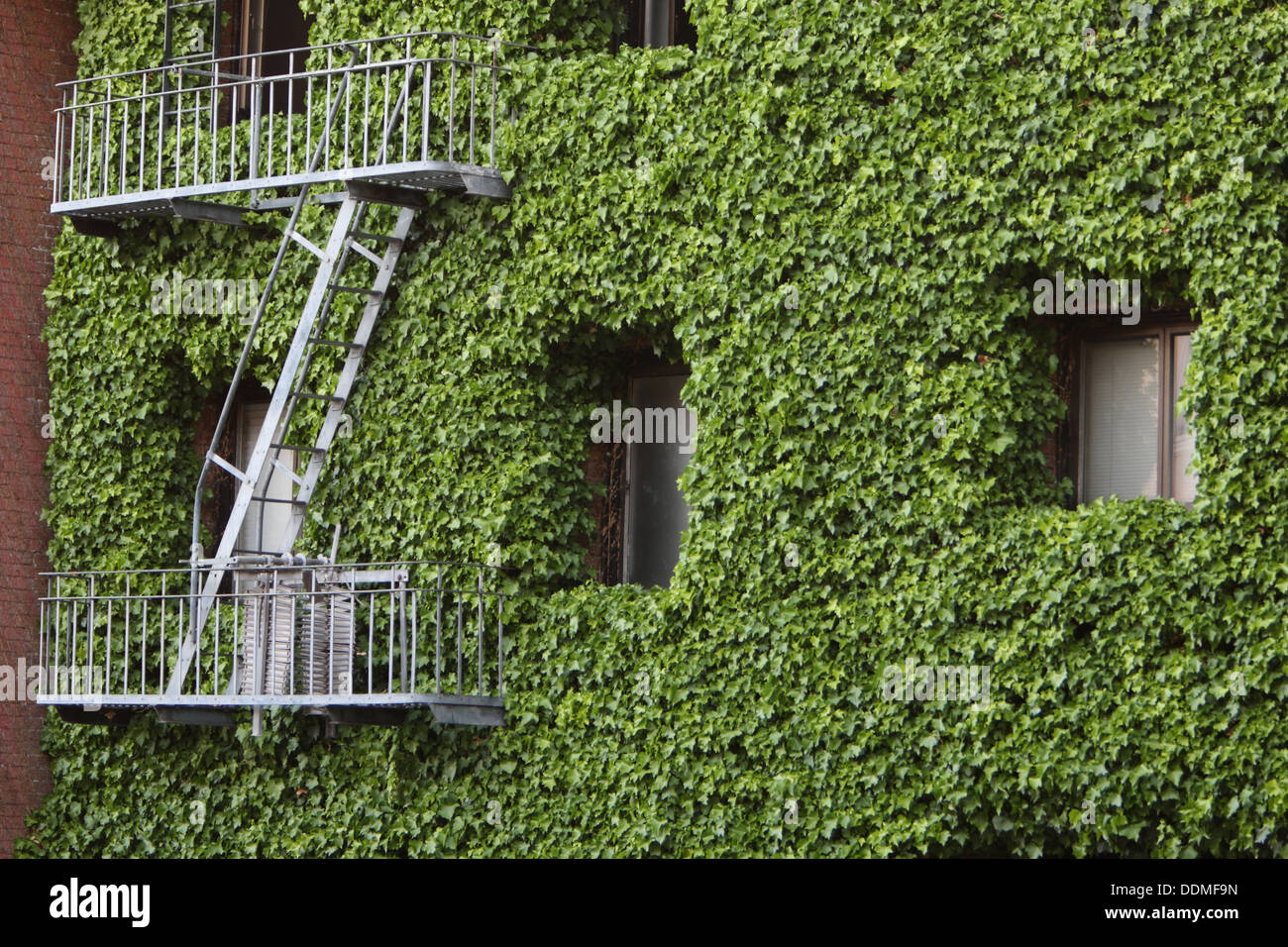 Coit Tower Windows High Resolution Stock Photography and Images - Alamy