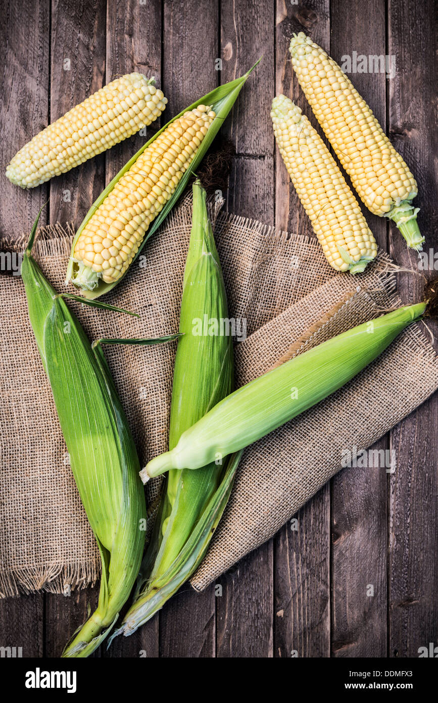 Freshly picked corn on the cob Stock Photo - Alamy