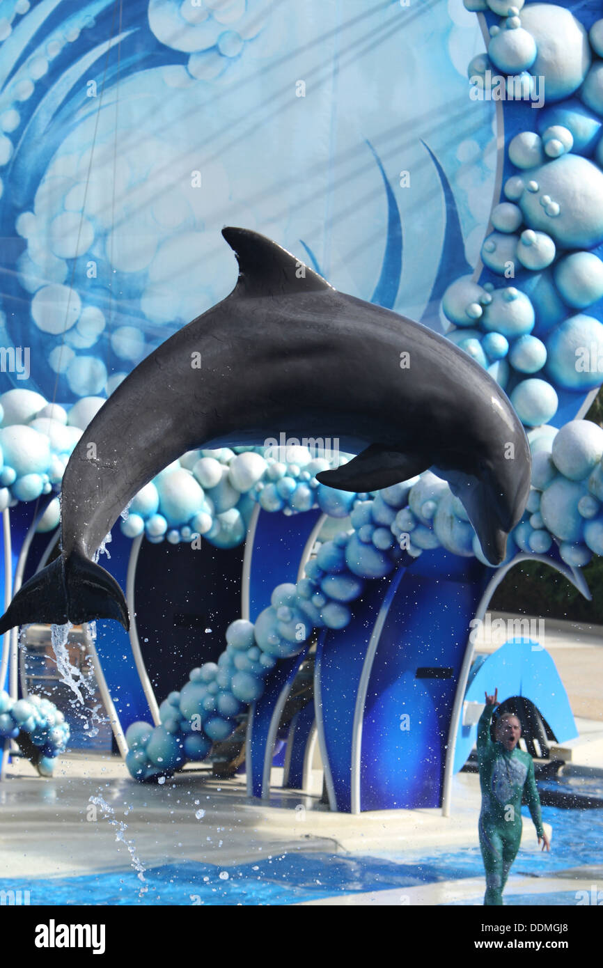 Dolphin tricks hi-res stock photography and images - Alamy