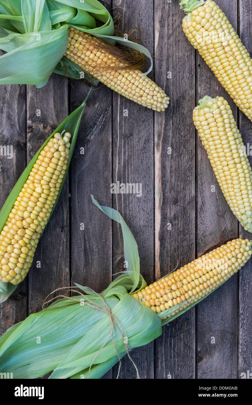 Freshly picked corn on the cob Stock Photo - Alamy