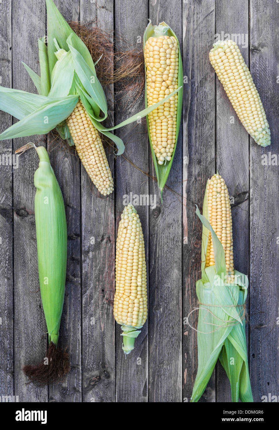 Freshly picked corn on the cob Stock Photo - Alamy