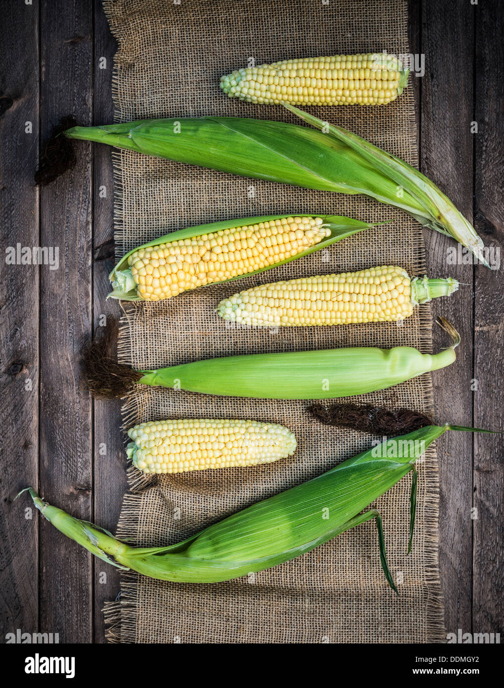 Freshly picked corn on the cob Stock Photo - Alamy