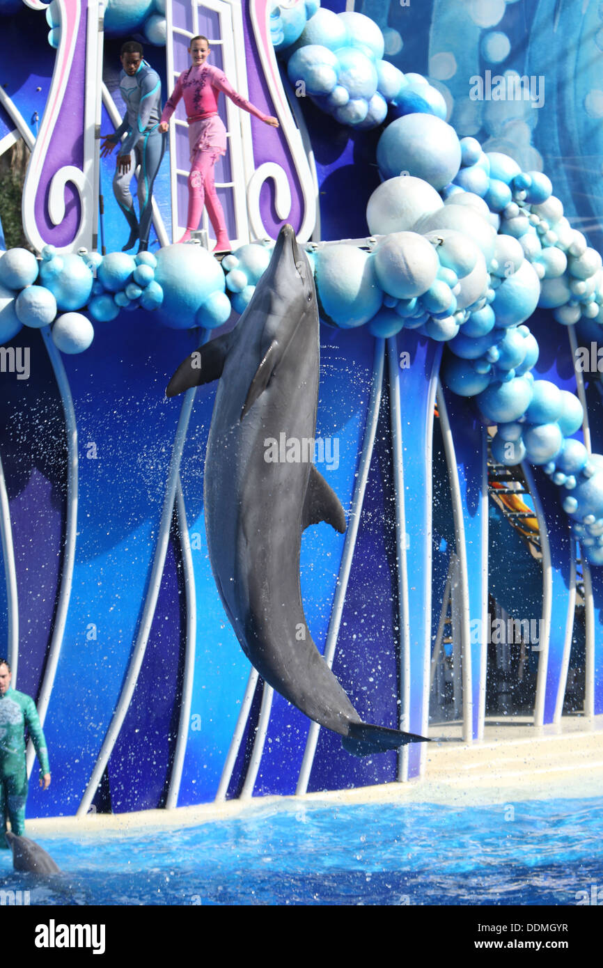 Dolphin tricks hi-res stock photography and images - Alamy