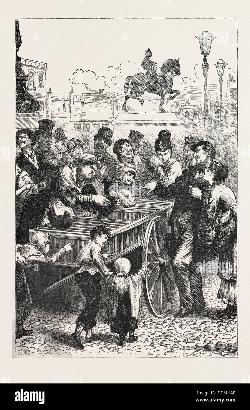 Rabbit paris hi-res stock photography and images - Alamy